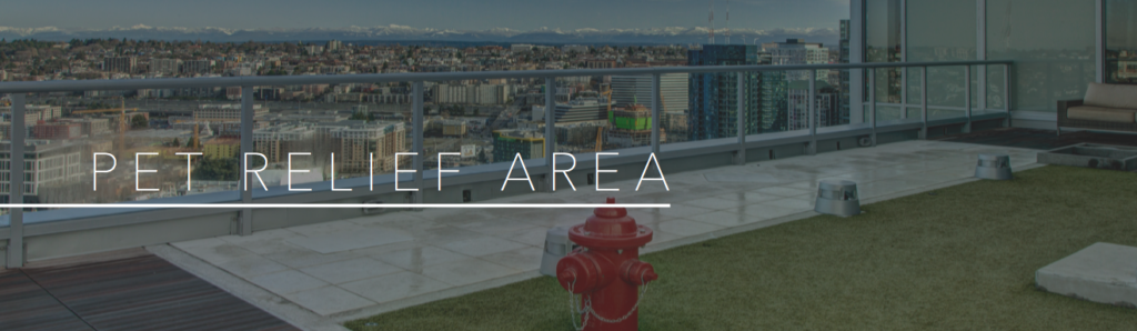 Amenities — Marselle Condos